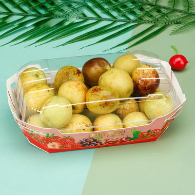 China Handmade Paper Tray Box for Sushi and Fruit Shop Environmentally Friendly Packaging for sale