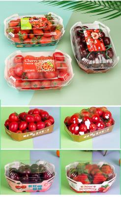 China Handmade Paper Tray Box for Sushi and Fruit Shop Environmentally Friendly Packaging for sale