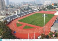 China Venus Surface Outdoor Playground Flooring , Soft Playground Padding Material for sale