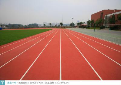 China Outdoor Synthetic Athletic Running Track International Standard With Long Lifespan for sale