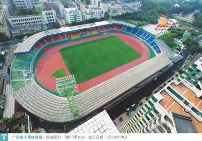 China Athletic Jogging Rubber Sports Flooring For Stadium Surface All Weather Fully Cast for sale