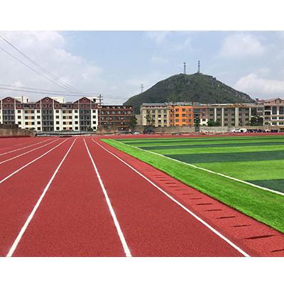 Cina Pavimentazione di superficie di sport dell'unità di elaborazione della sede rossa/verde/resistente di acqua blu di colore   in vendita