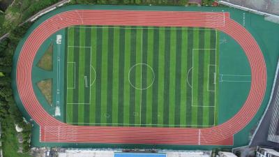 Cina Pista atletica di gomma di EPDM che pavimenta i materiali Spike Resistant in vendita
