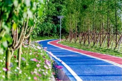 Cina Bagnato versi il rivestimento di superficie del campo da giuoco di gomma di EPDM per il percorso di camminata in vendita