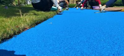 Cina Bagnati variopinti versano i granelli di gomma di EPDM per la pavimentazione di gomma pareggiante della pista del percorso di camminata in vendita