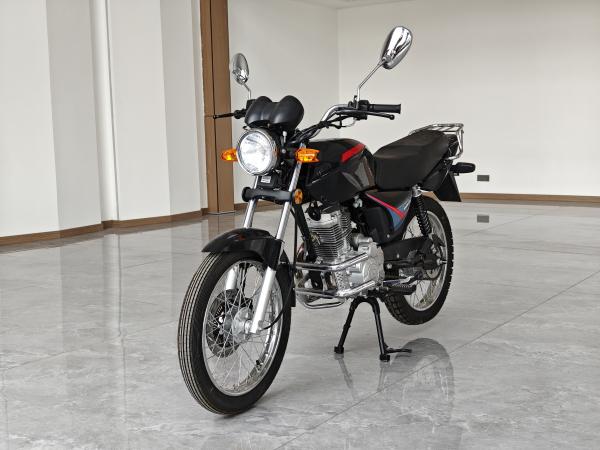 Quality Motorcycle Supplier OEM Logo 200CC Chopper Motorcycle With Balance Shaft Engine Electroplating Muffler for sale