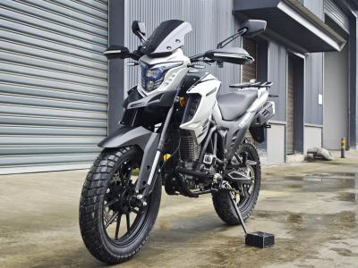China Heavy Duty 250cc 4 Stroke Air-Cooled Street Motorcycle Daily Use Touring Mixed Road Conditions for sale
