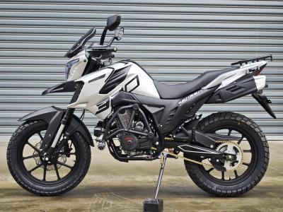 China Versatile Single Cylinder Air-cooled Four-stroke Electric Dirt Bikes 300cc Street-adventure Motorcycle for sale