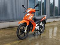 Quality 110cc Cub Motorcycle Fuel Efficient Engine Daily Commuting Bulk Supply Use for sale