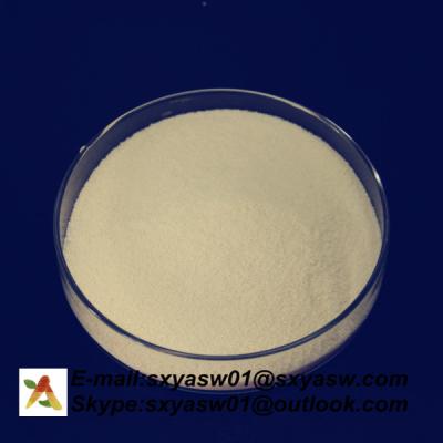 China Natural skin whitening Apple Extract 98% CAS No 60-82-2 Phloretin for sale