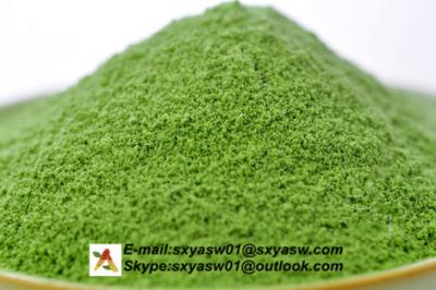 China Natural Instant Wheat Grass Powder for sale