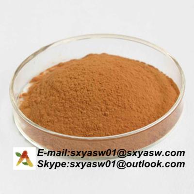 China Natural Eleutheroside B+E Siberian Ginseng Root Extract for sale