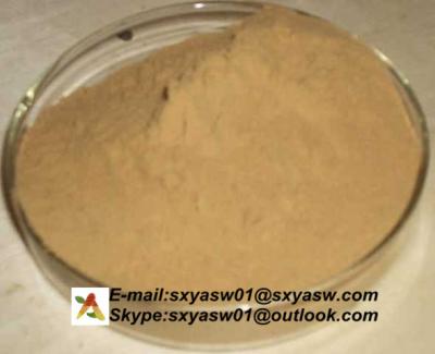 China Gypenosides CAS No 15588-68-8 Natural Gynostemma Extract for sale