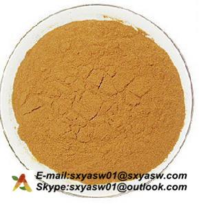 China Natural Coleus Forskohlii Extract 10% 20% 40% Forskolin for sale