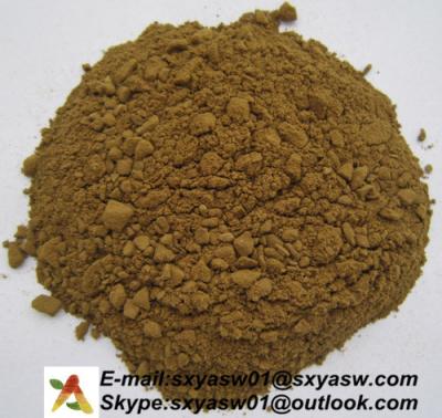 China Natural Olive Leaf Extract 20% 60% Oleuropein for sale