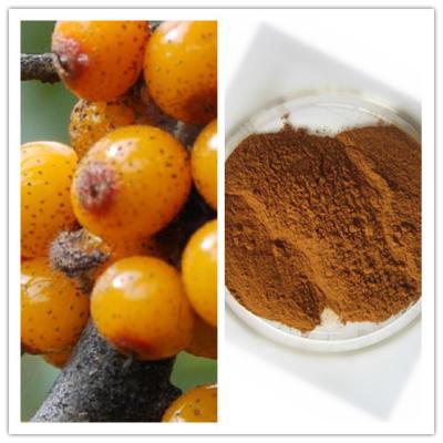 China Natural Soften Blood Vessels Seabuckthorn Extract 5% 65% Flavone for sale