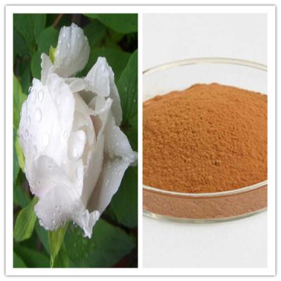 China Natural CAS No 23180-57-6 Paeonia Albiflora Extract 10% 98% Paeoniflorin for sale
