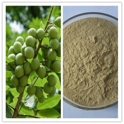 China Natural Sapindus Extract Lower Blood Pressure 70% Saponin for sale