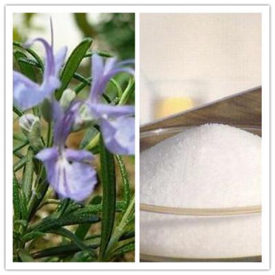 China Natural Rosemary Extract 16% 20% 25% 40% 60% Carnosol (CAS No 5957-80-2) for sale
