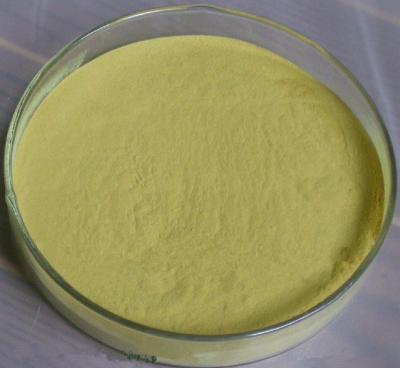 China Natural Radix Notoginseng Extract Immune Regulation Sanchinoside for sale
