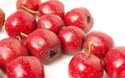 China Natural Slow the Rhythm of the Heart Hawthorn Leaf Extract for sale