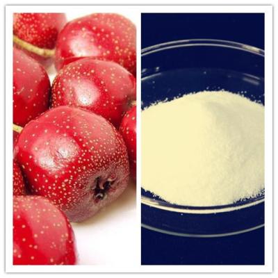 China Natural Hawthorn Extract 98% Vitexin (CAS No 3681-93-4) for sale