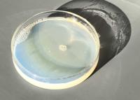 China Odor Reduced Waterborne Polyurethane With Comfortable Handling for sale