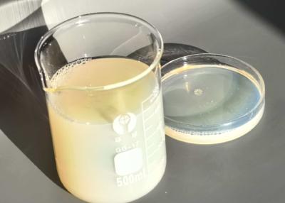 China Durable Waterborne Polyurethane Resin With Long Service Life for sale