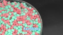How to Choose the Right Fertilizer for Your Needs