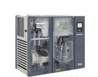 China Nitrogen generating system plant include air compressor air compressed purification system for sale