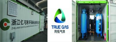 Cina Tipo generatore in loco del contenitore dell'azoto con l'iso del CE del sistema di gas dell'azoto in vendita