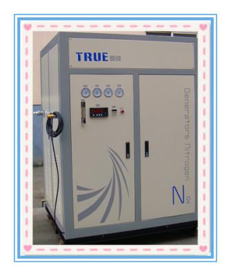 China Fully - Automatic Intelligent Digital Nitrogen Generator N2 Generation Systems for sale