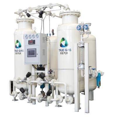 Cina 16-60 esclude lo stile del gabinetto e della torre di sistema del gas dell'azoto del generatore del N2 di Psa del acciaio al carbonio in vendita