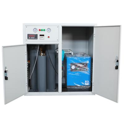 Cina 16-60 esclude lo stile del gabinetto e della torre di sistema del gas dell'azoto del generatore del N2 di Psa del acciaio al carbonio in vendita