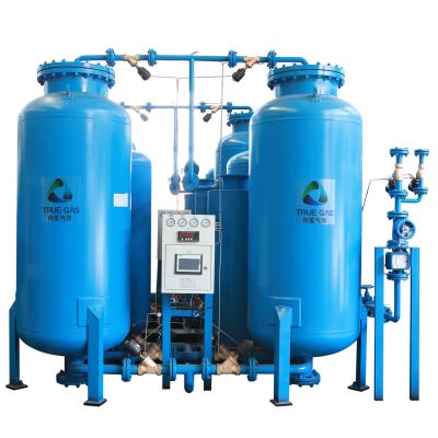 Cina 16-60 esclude lo stile del gabinetto e della torre di sistema del gas dell'azoto del generatore del N2 di Psa del acciaio al carbonio in vendita