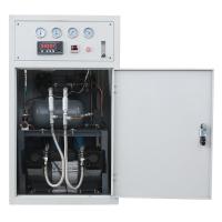 China Cabinet Style Laboratory Nitrogen Generator for sale