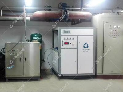 Cina Piccolo generatore dell'azoto dell'acciaio inossidabile, generatore PSA dell'azoto di elevata purezza in vendita