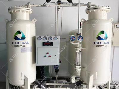 Cina Generatore 220V dell'azoto di PSA della soluzione di chiave di giro con il sistema dell'aria compressa in vendita