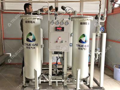Cina 10Nm3/generatore azoto di H PSA per il deviatore a bassa velocità di rigenerazione del catalizzatore in vendita