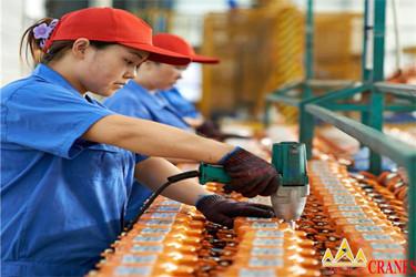 Fornitore cinese verificato - Chongqing Shanyan Crane Machinery Co., Ltd.