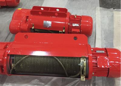 Cina gru elettrica del cavo metallico 500kg in vendita