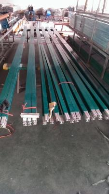 Cina 10 gru a ponte dell'alloggio 660V del PVC di Palo in vendita