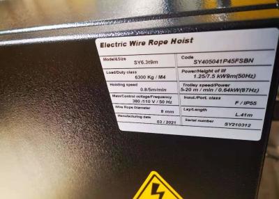 Cina 6,3 gru di tonnellata 9M Electric Wire Rope con il motore IP55 in vendita