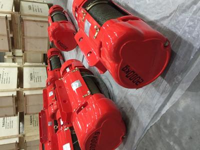 Cina gru elettrica del cavo metallico 500kg in vendita