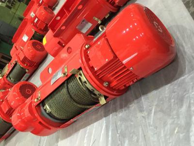 Cina gru elettrica del cavo metallico 500kg in vendita