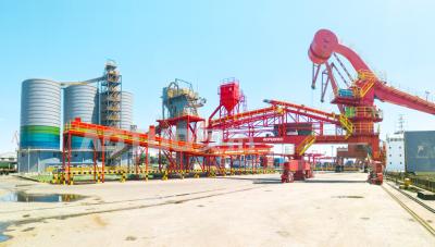 China Rail Mobile Ship Unloader 30 Degree Inner Swing 40 Degree Outer Swing for sale
