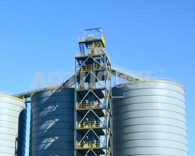 Cina Spolverizzi il trasportatore dell'elevatore di secchio del granello/l'elevatore di secchio verticale piccolo potere in vendita