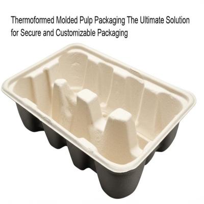 China Thermoformed Molded Pulp Packaging The Ultimate Solution for Secure and Customizable Packaging for sale
