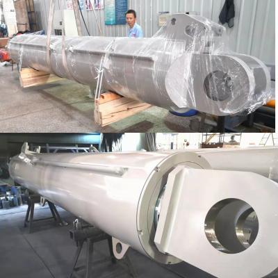 Cina cilindro idraulico personalizzato con tratto 360 mm in vendita