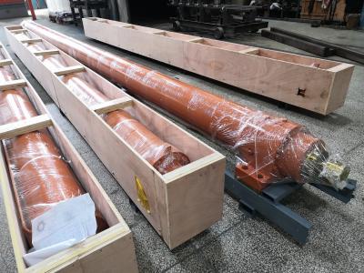 Cina Silindri di sollevamento degli elettrodi a lunga durata di 6000 mm in vendita
